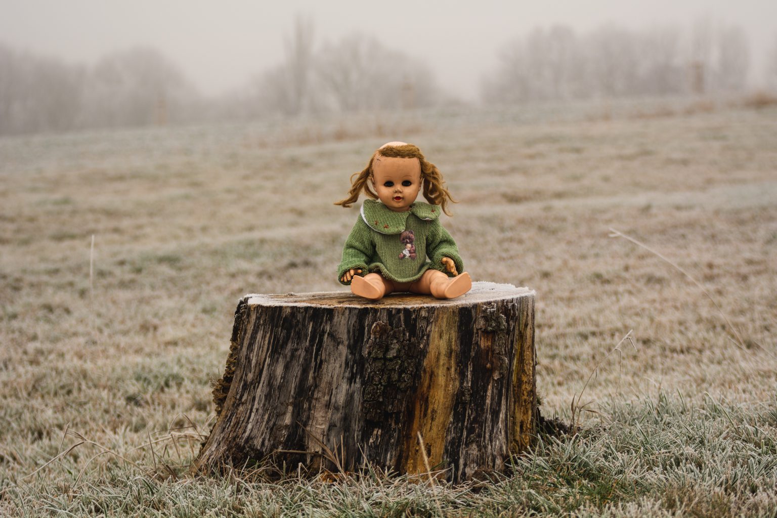 Lost Doll | Copyright-free photo (by M. Vorel) | LibreShot