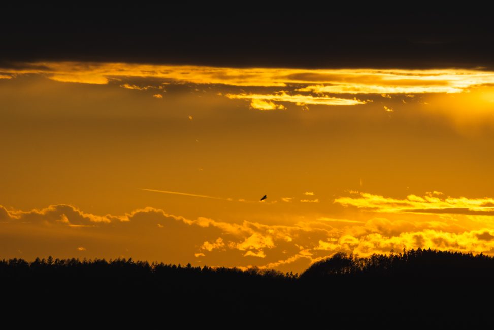 Dramatic Orange Sky | Copyright-free photo (by M. Vorel) | LibreShot Dramatic Orange Sky | Copyright-free photo (by M. Vorel) | LibreShot