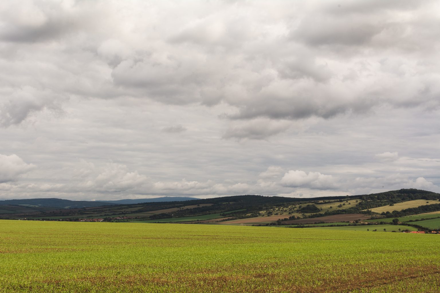 Field and Hills Landscape | Copyright-free photo (by M. Vorel) | LibreShot
