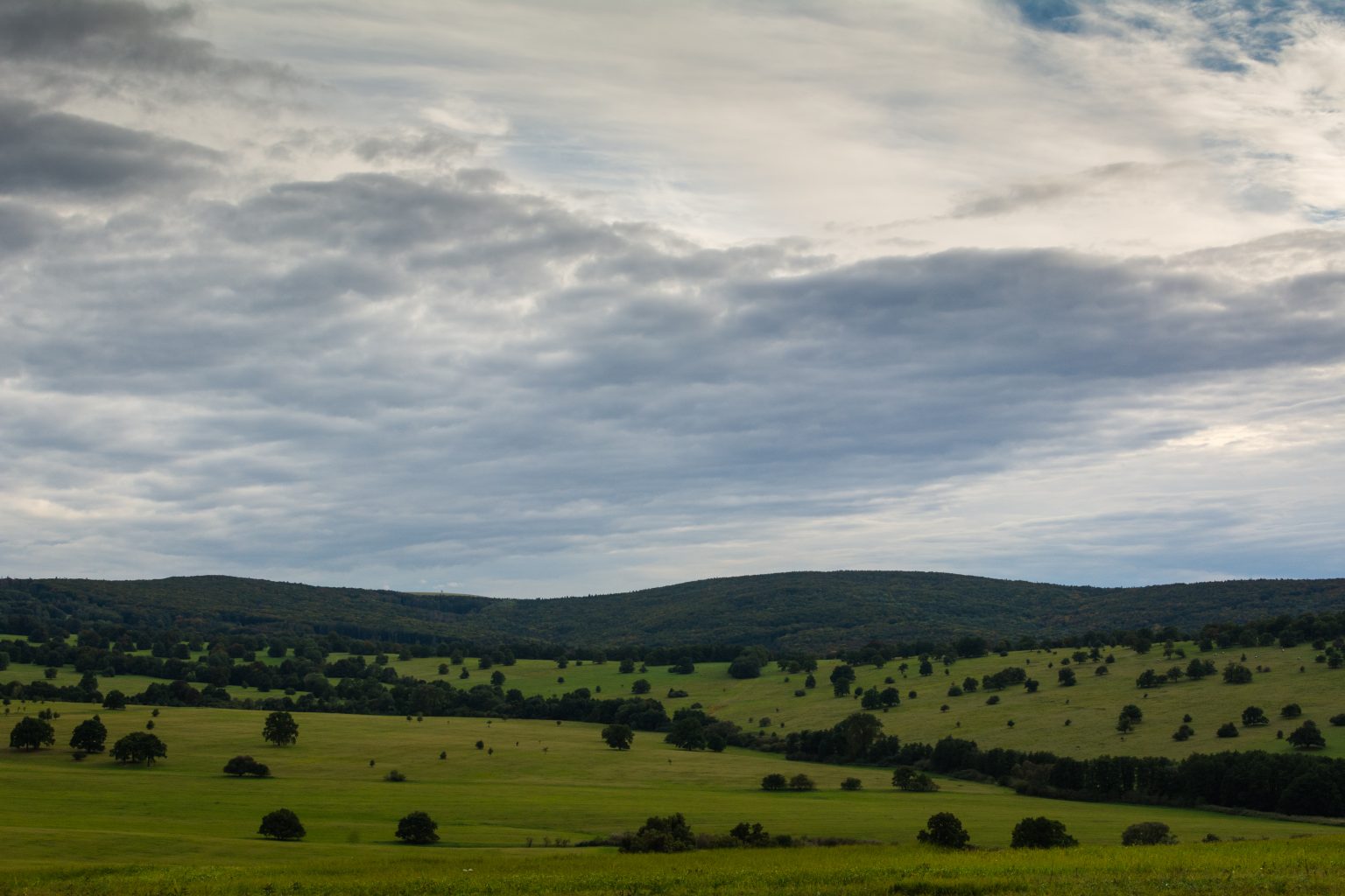 Green Meadow Landscape | Copyright-free photo (by M. Vorel) | LibreShot