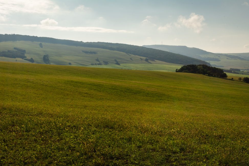 100+ Free Hills stock images. Commercial use. No watermark.