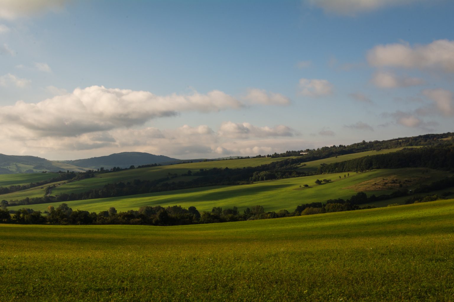 Meadows | Copyright-free photo (by M. Vorel) | LibreShot