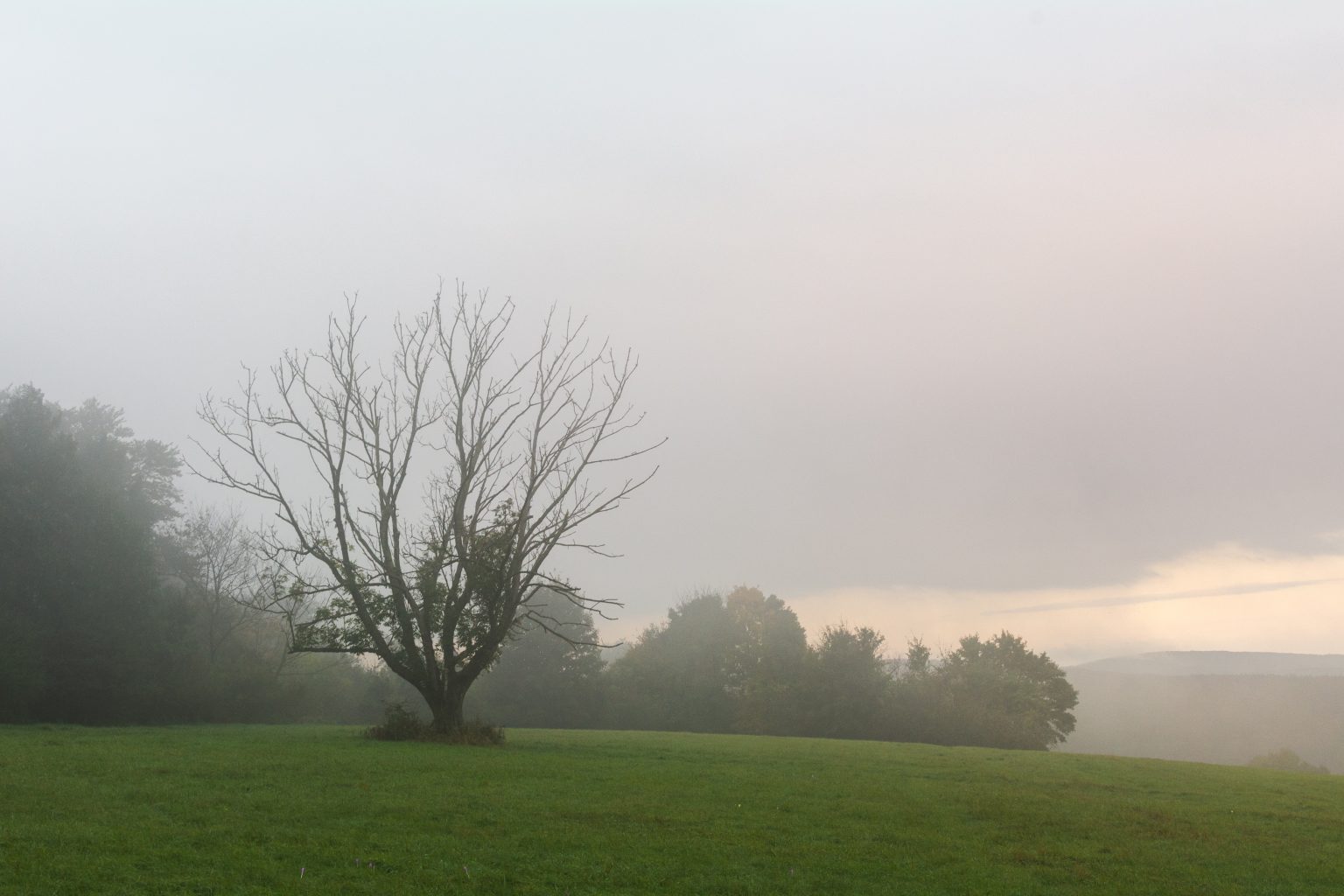 100+ Free outdoor stock images. Commercial use. No watermark.