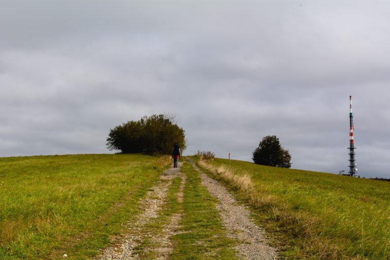 The Path in the Meadow | Copyright-free photo (by M. Vorel) | LibreShot