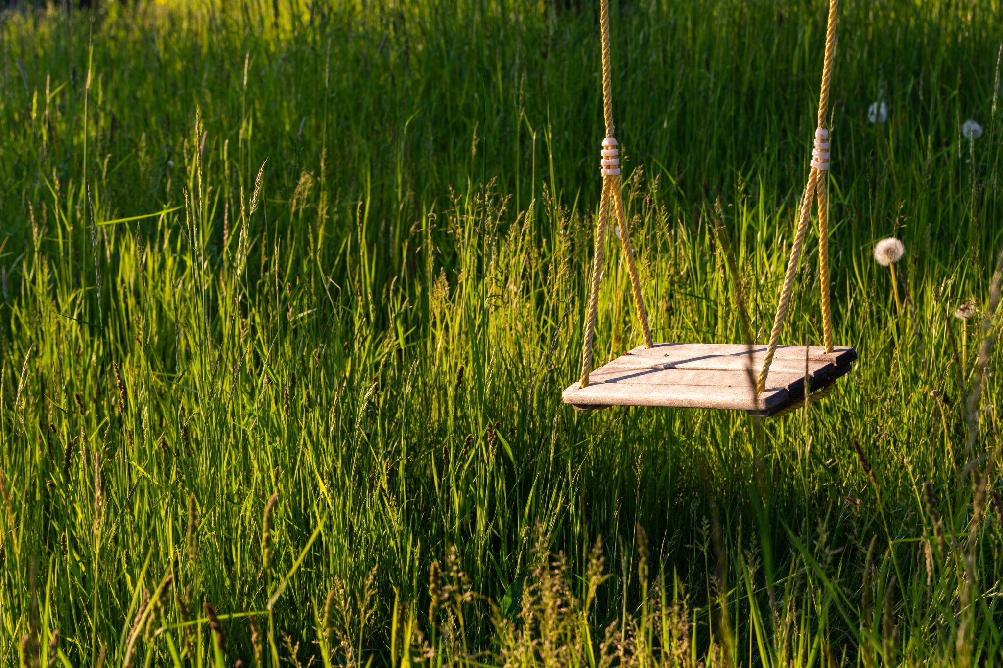 Single Wooden Swing | Copyright-free photo (by M. Vorel) | LibreShot