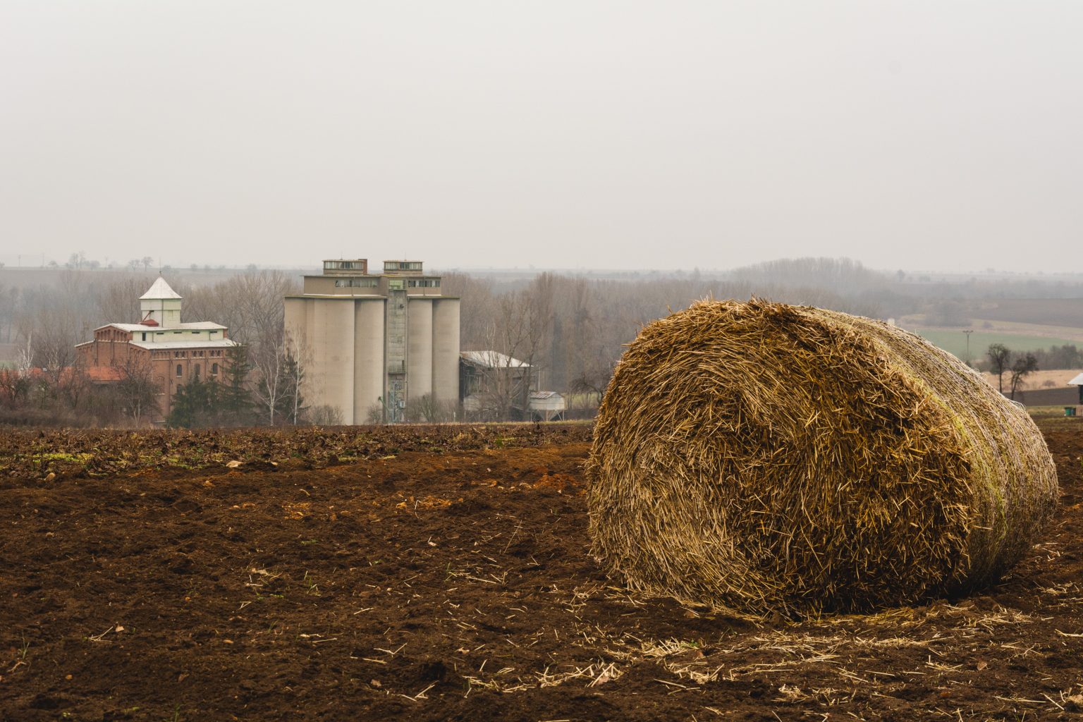 100+ Free Farm stock images. Commercial use. No watermark.